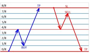 How to Use Murray Math Levels in Trading - Video Tutorial