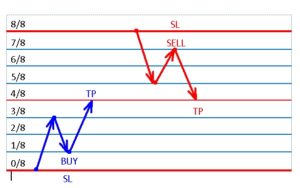 How to Use Murray Math Levels in Trading - Video Tutorial