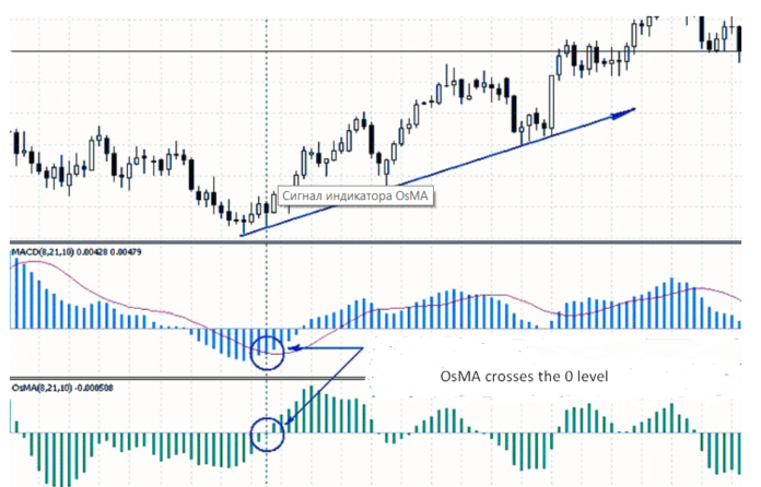 How to Use OSMA Indicator in Forex Trading - Video Tutorial