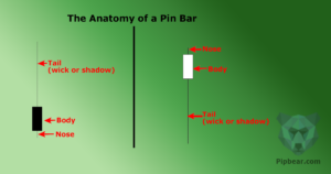 Pip Bar Price Action Strategy Explained - Video & Examples