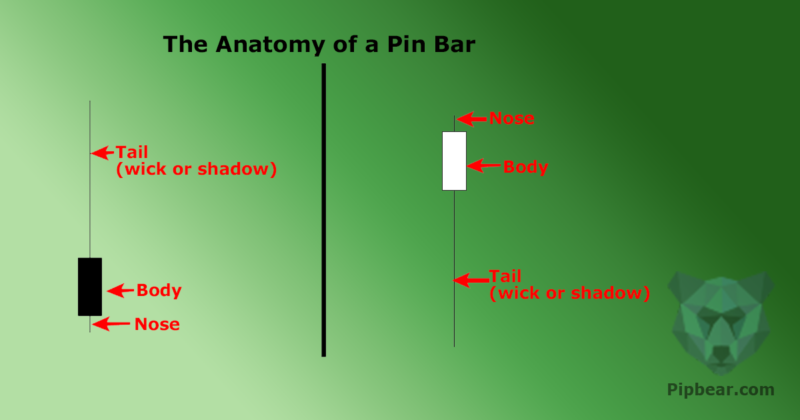 Pip Bar Price Action Strategy Explained - Video & Examples